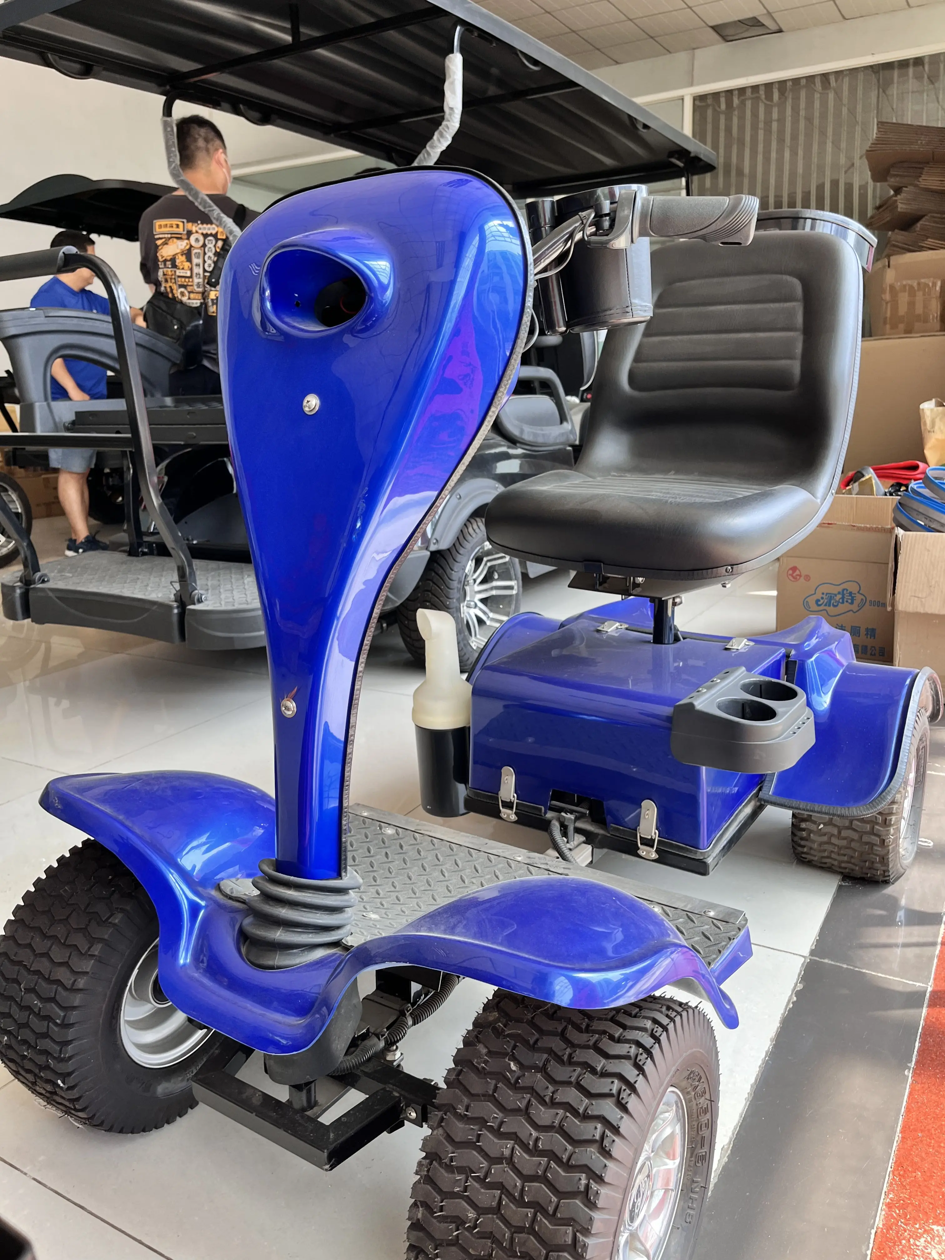 Ev A4 Single Seat Electric Golf Cart - Buy Mini Electric Golf Carts ...