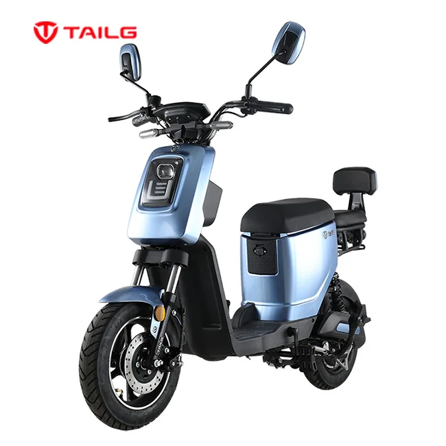 Tailg 350w Motor 48v/20ah Lithium Battery Luxury Electric Bike With Lcd ...