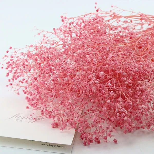 Preserved Flowers Babybreath Dried Gypsophila - Buy Gypsophila,Dried ...
