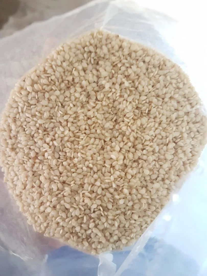High Purity Burkina Faso White Hulled Sesame Seed 99/9 Purity - Buy ...