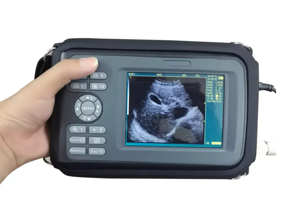 Veterinary Handheld Portable Ultrasound Scanner for Vet Ultrasound ...