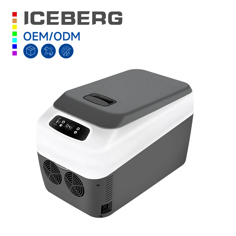 Car Fridge vs Cool Box Guide: How to Choose the Right Mobile Cooler