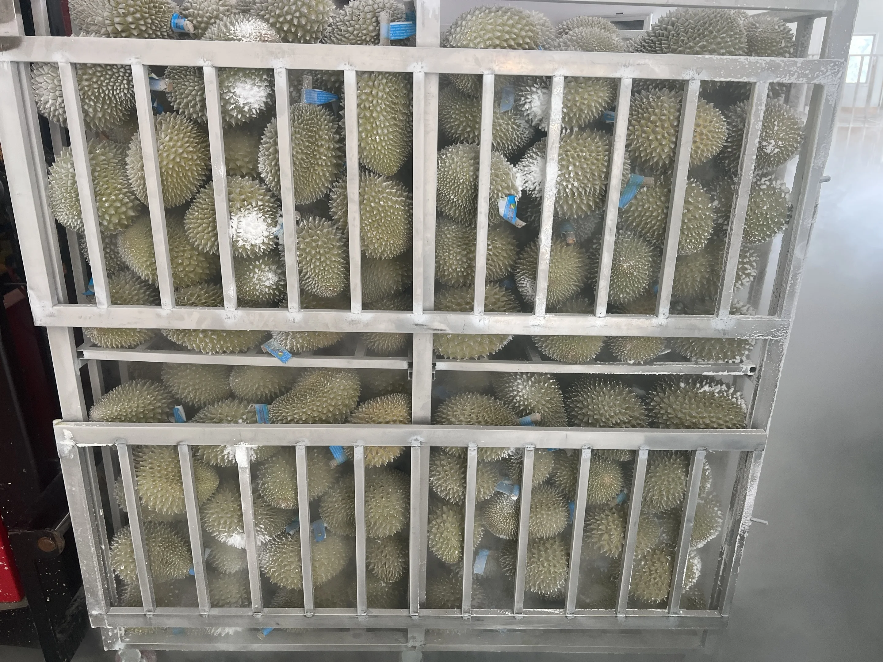 Ultra-low Temperature Liquid Nitrogen Durian Quick Freezing Cabinet ...