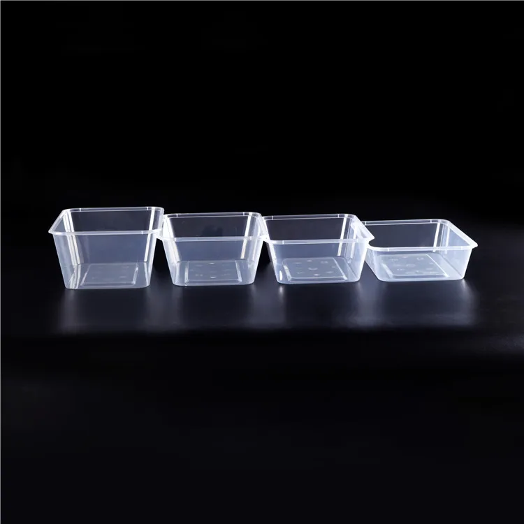 Large Clear Rectangular Plastic Storage Container And Lid - Buy ...