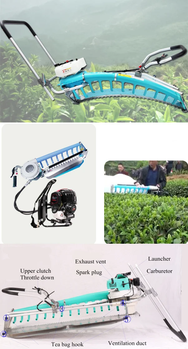 Orthodox Green Tea Leaf Steaming Machine - 1 Year Warranty