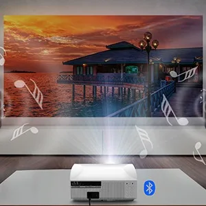 Vivibright (Shenzhen) Co., Ltd. - Projector