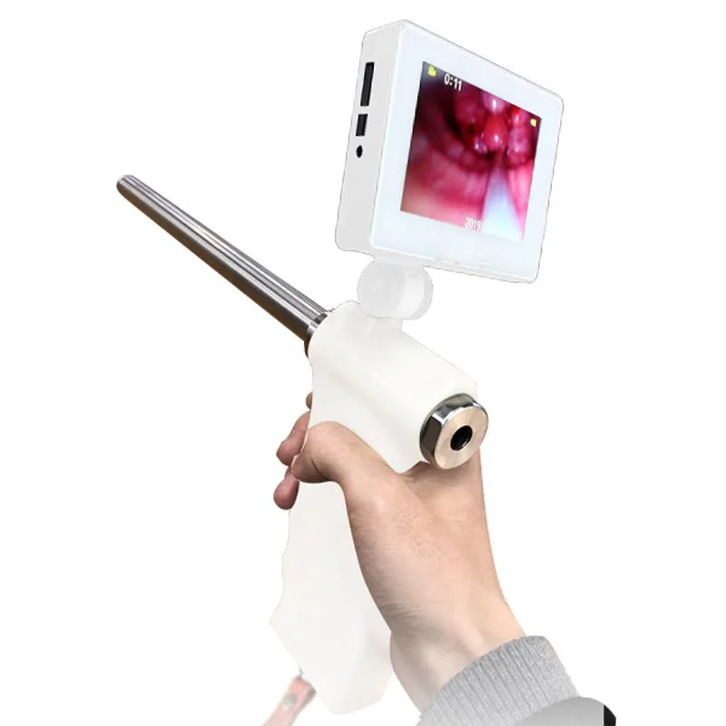 AI Peralatan Inseminasi Buatan Kambing Visual, Pistol Inseminasi Buatan ...