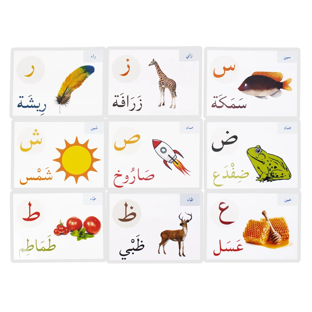 28Pcs Arabic Letter Flashcards Vocabulary Montessori Kids Cards ...