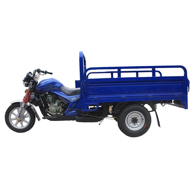 400kg Loading Capacity Petrol Tricycle Loader Rickshaw - Buy 400kg ...