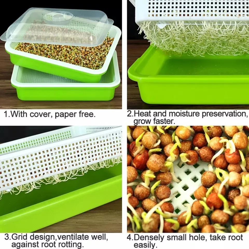 Ceramic Microgreen Tray - Durable & Clean Planting Solution