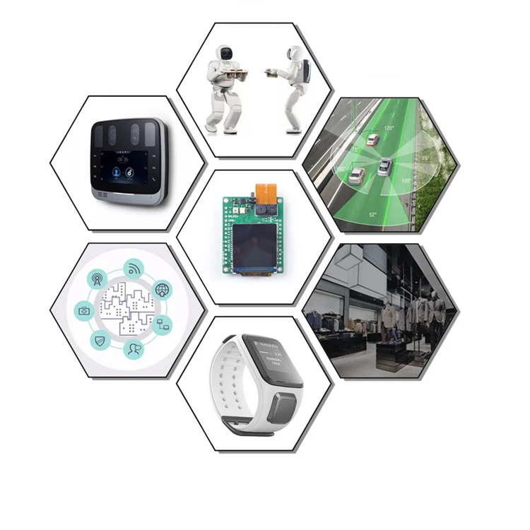 K210 RISC-V Ai+iot Development Board - Face & Voice Recognition