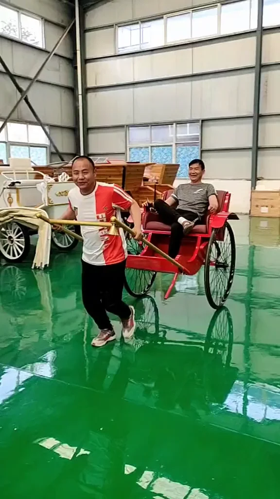 Latest Price Rickshaw Tricycle Bike Adult 3 Wheel Bicycle For Passenger ...