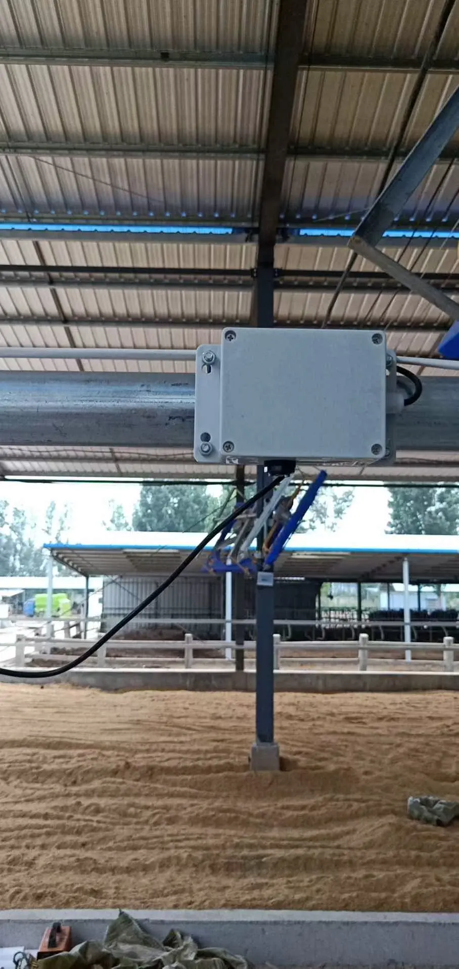 Smart IoT Livestock Automation New Cow Detection Sensor for Water ...