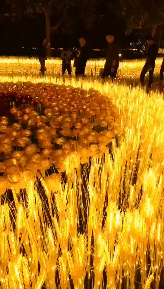 Golden Warm Glow Dc12v Led Wheat Field Of Luminous Wave Wheat Stakes ...