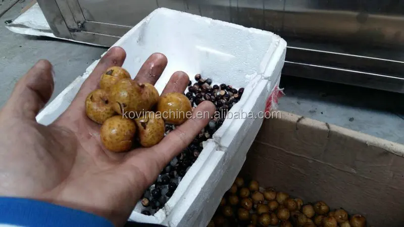 Longyan Plum Core Removal Machine Lychee Litchi Peeling Peeler Machine ...