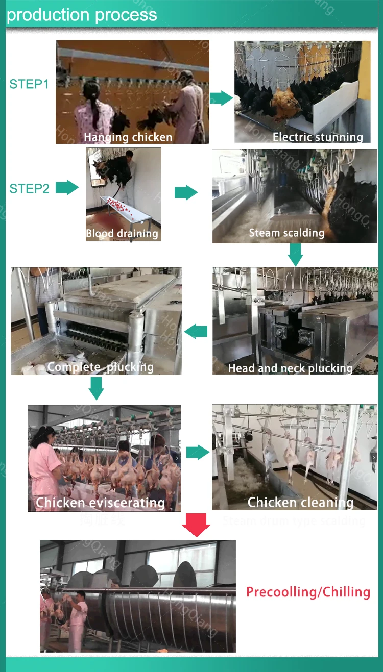 Hongqiang 1500bph Poultry Slaughtering Slaughterhouse Chicken Dressing ...