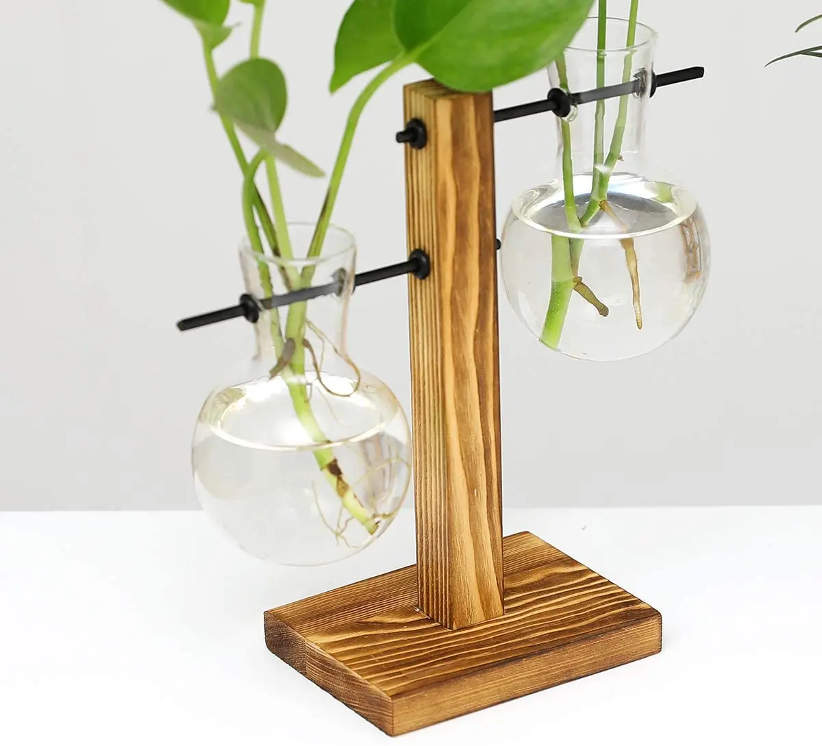 2 Pack Plant Terrarium With Wooden Stand Air Planter Bulb Glass Vase ...