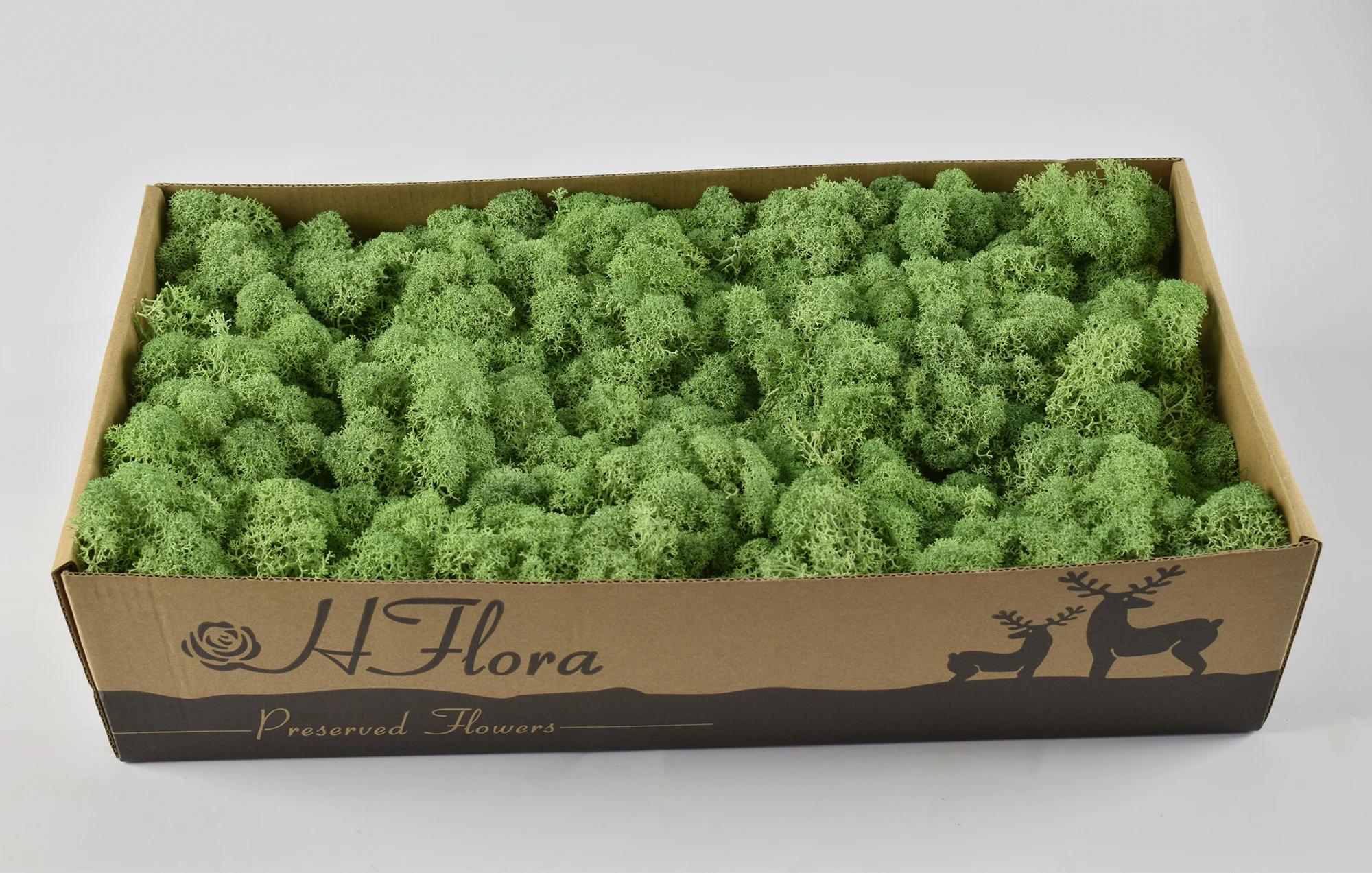500g Decorative Preserved Moss In Box For Wall Decoration Celebration ...