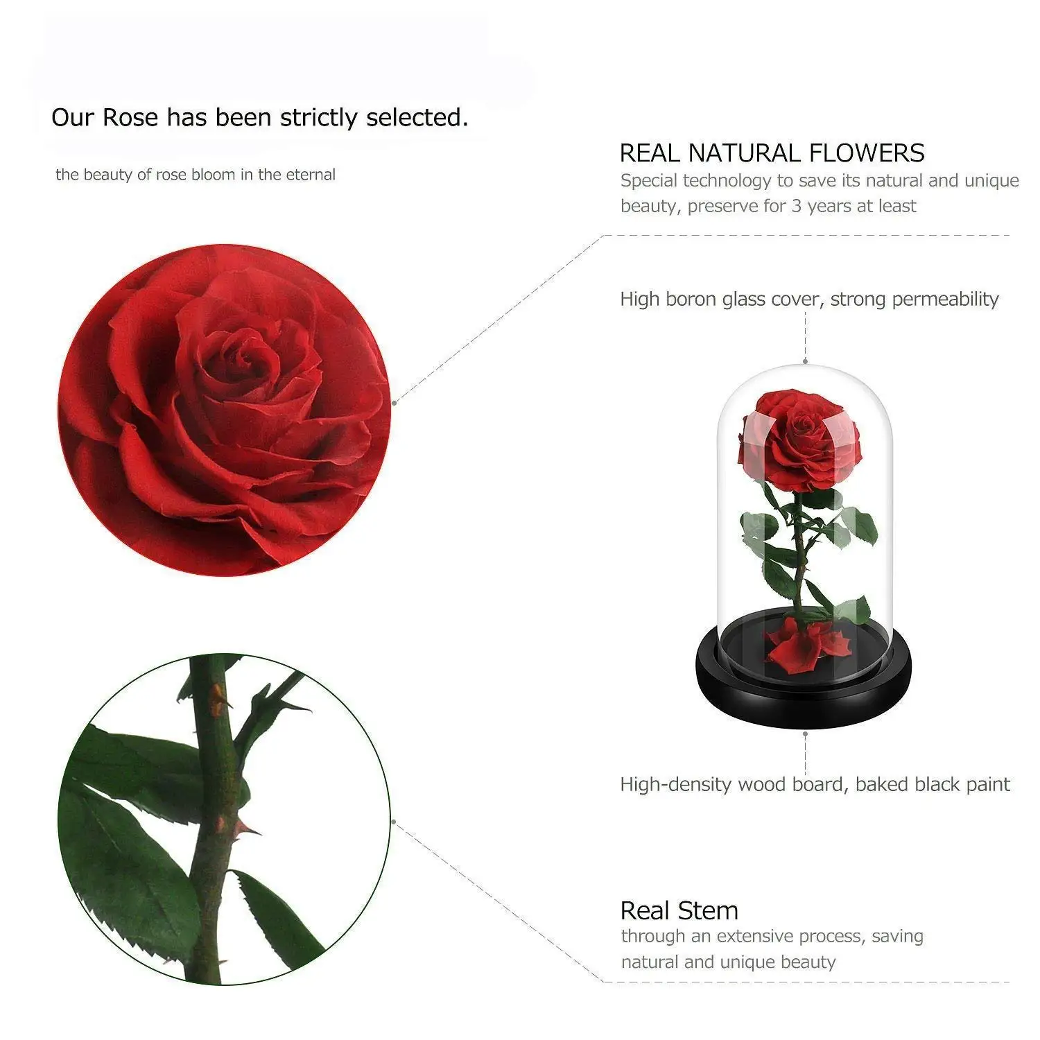 High Quality Eternal Rose Flower Preserved Rose in Glass Dome Cover ...