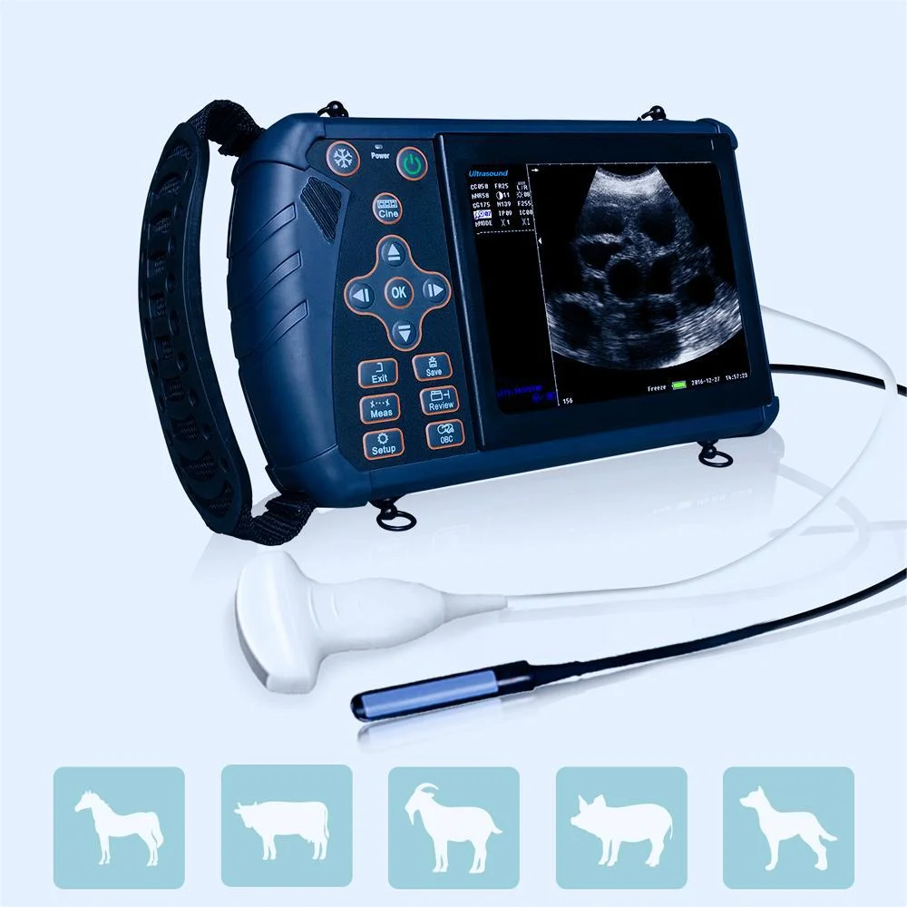 Handheld Veterinary Ultrasound System Wireless Ultrasonic Machine for ...