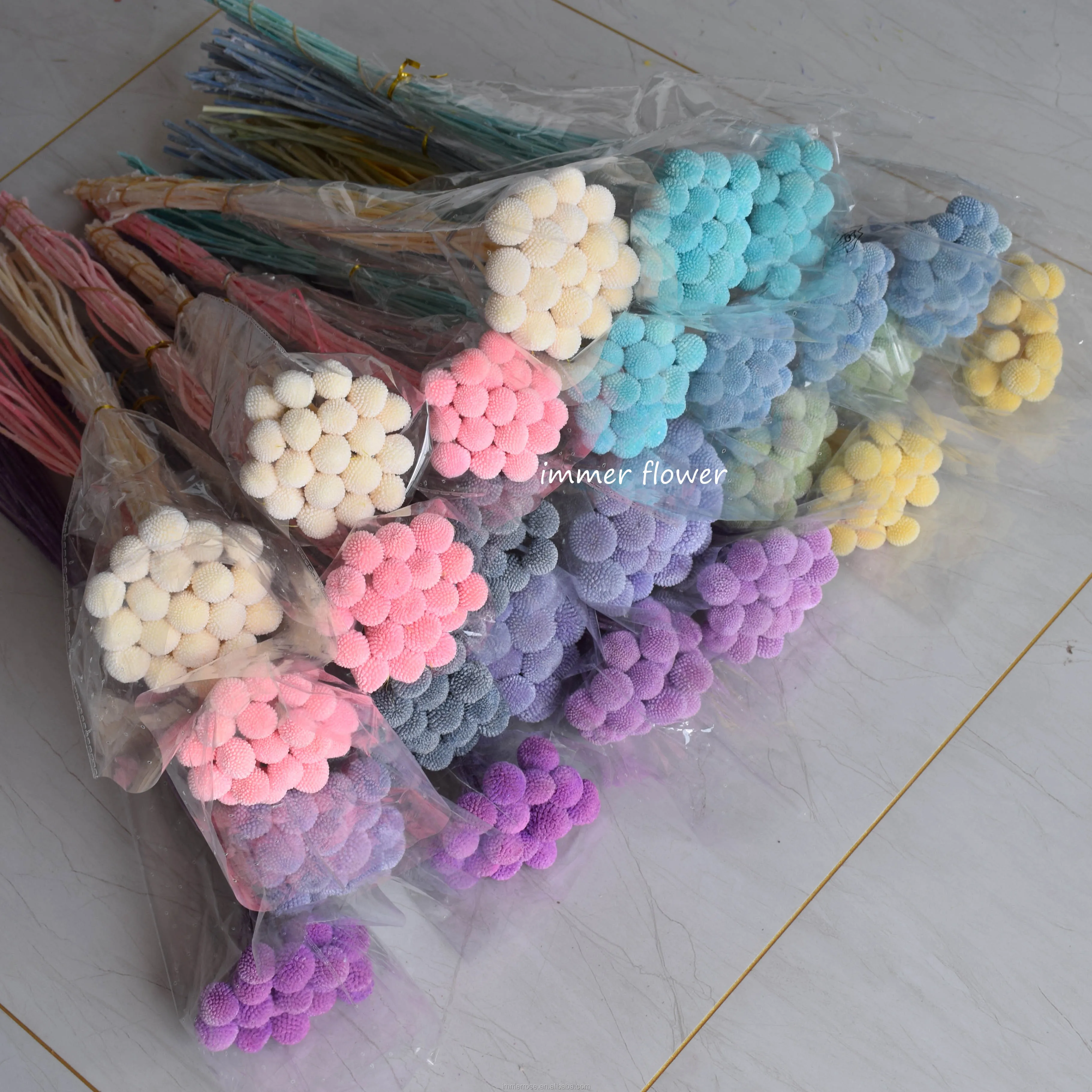 Wholesale Golden Billy Ball Bunch Preserved Flower Dry - Buy Golden ...