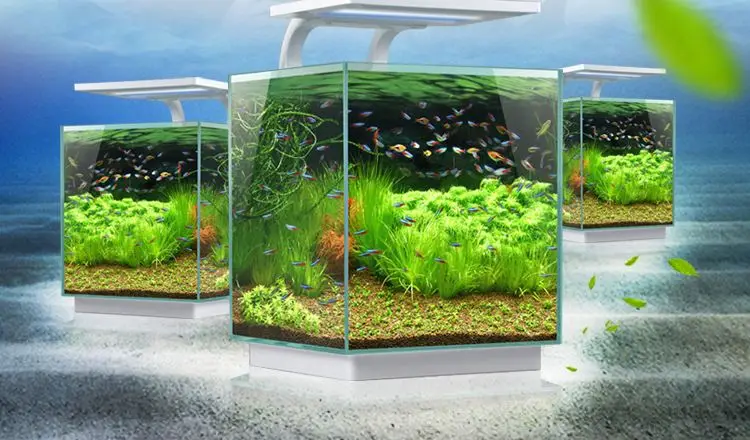 5000l-50000l Customized Huge Glass Aquarium For Hotel And Market - Buy ...