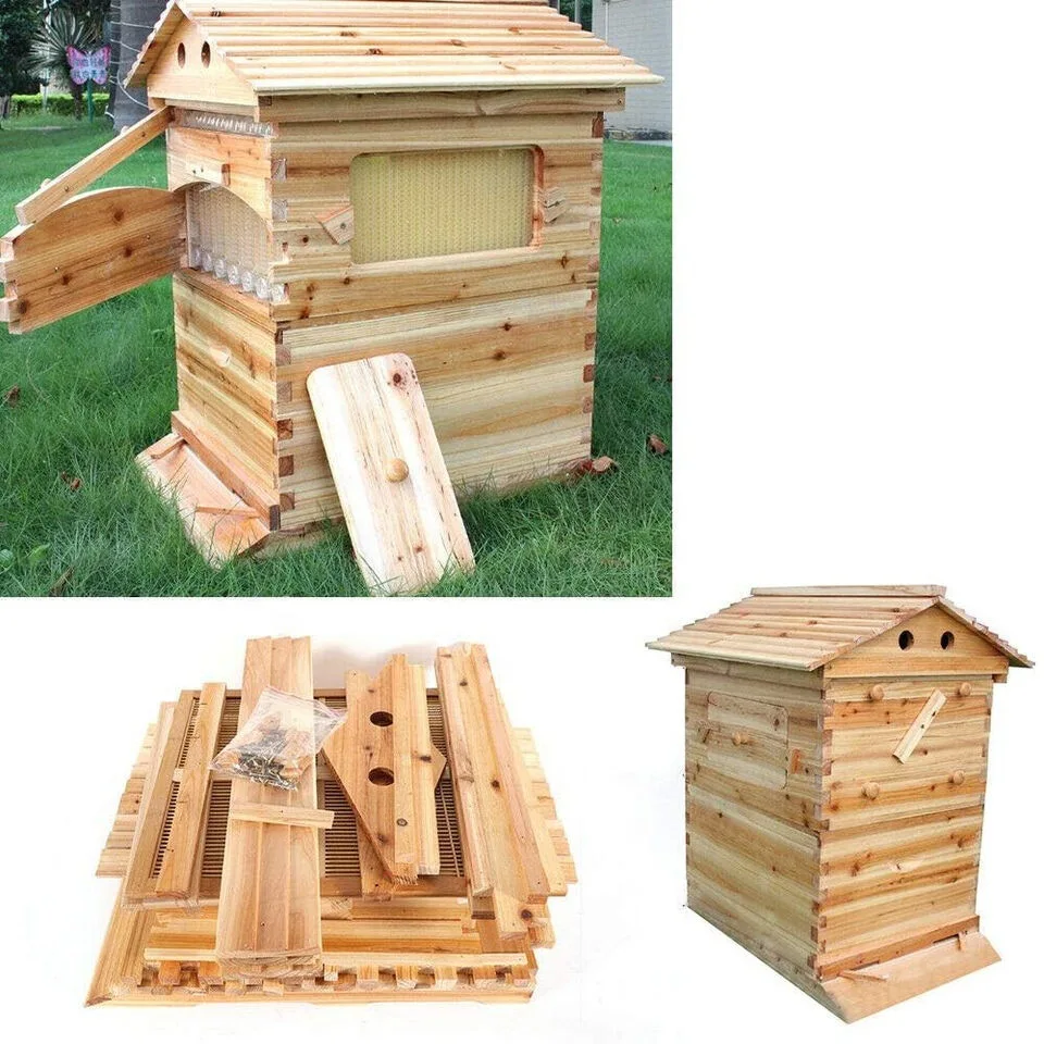 Beehive Automatic Flowing Bee Hives Boxes Kit Food Grade Beekeeping ...