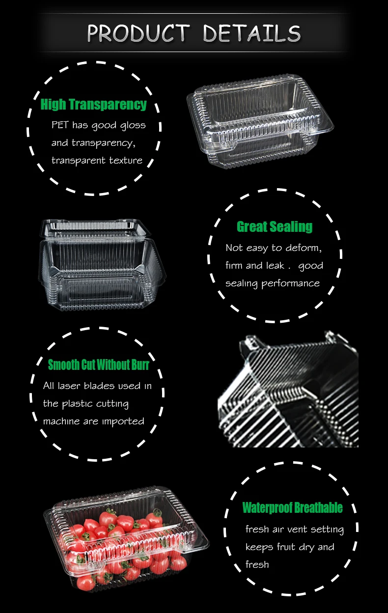 Blister Plastic Fruit Clamshell Packaging Disposable Fruit Container ...