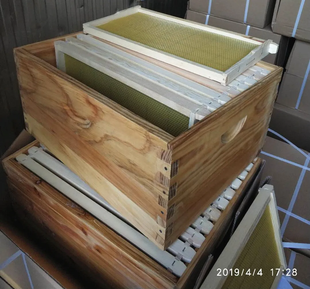 Unassembled Langstroth Deep Bee Frame with Plastic Foundation Sheet ...