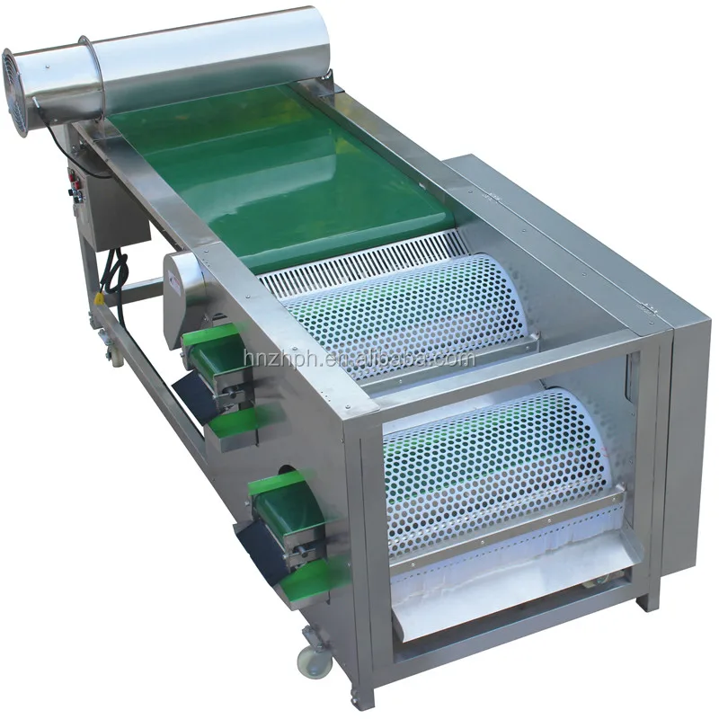 Stainless Steel Electric Fruit Size Grading Machine Blueberry Sorter ...