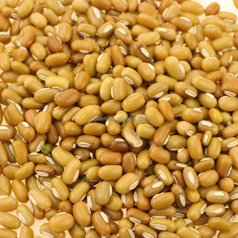 Well Selected Dried Long-Shape Yellow/Green Vigna Beans Bulk Pack Mung ...