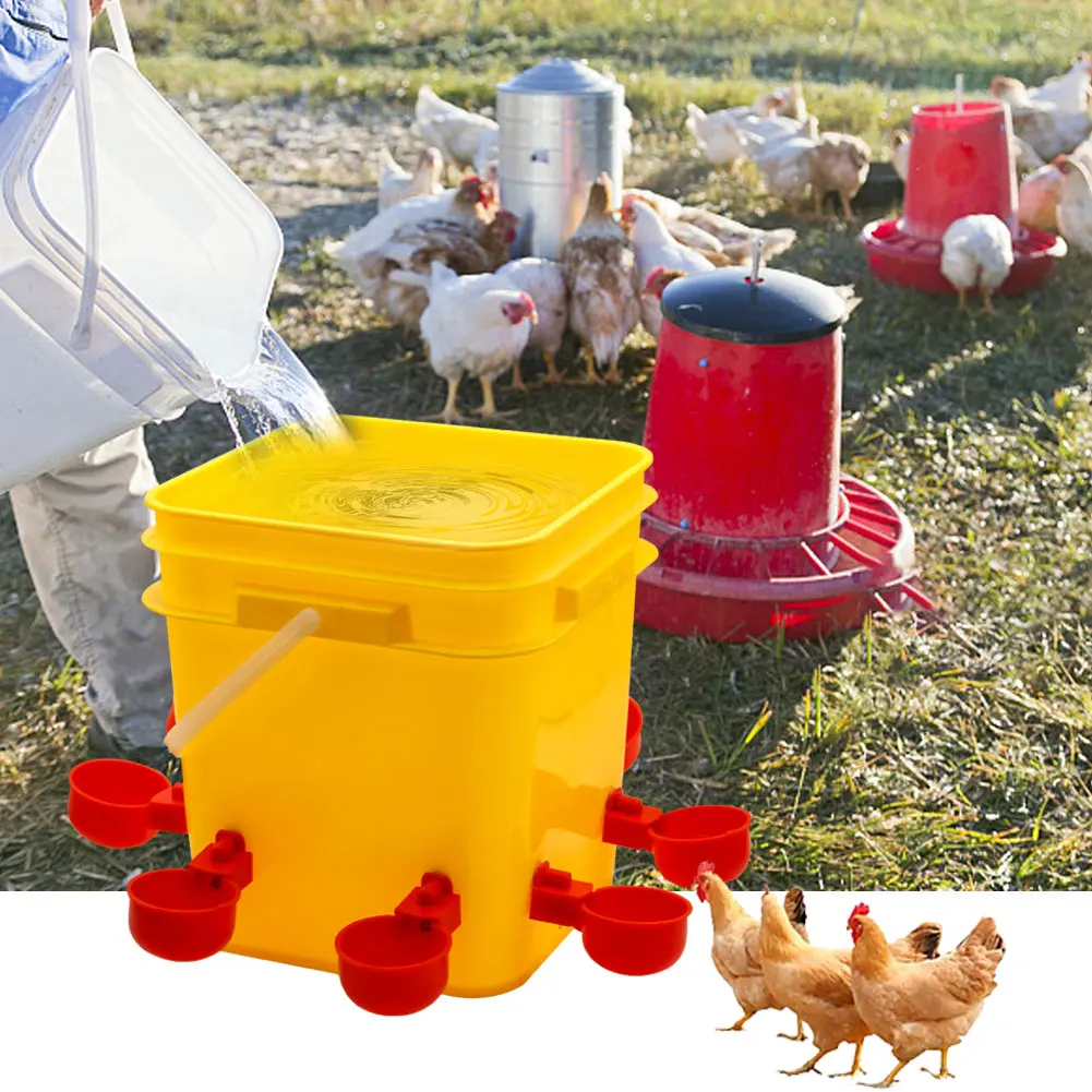 10L Plastic Automatic Chicken Drinkers - Efficient Watering