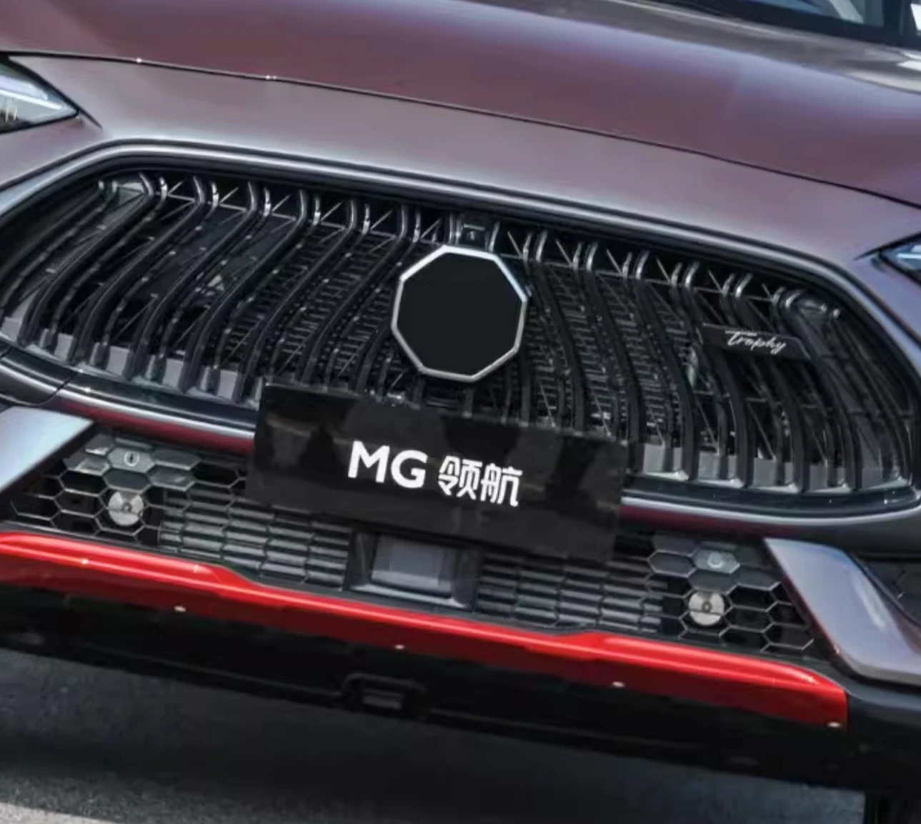 Front Grill for MG HS LINGHANG 2021-2023 | Black+Silver ABS Grille ...