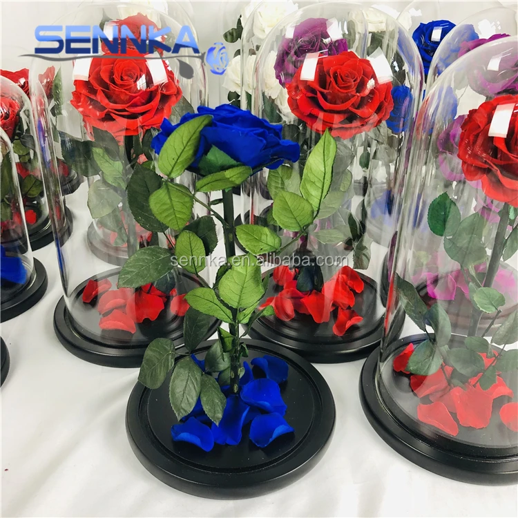 Chinese Red Preserved Rose Stem In Glass 10cm Huge Rose Bud Single Rose ...