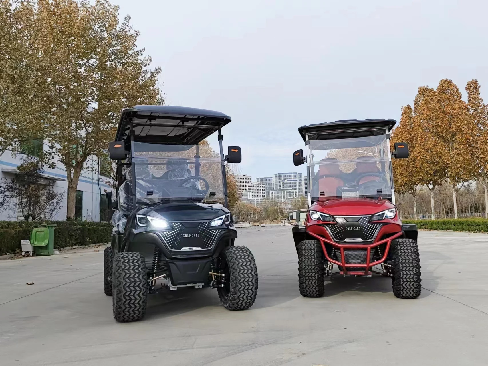 2 Person 48v Electric Golf Cart Off Road Buggy With Lithium Battery ...