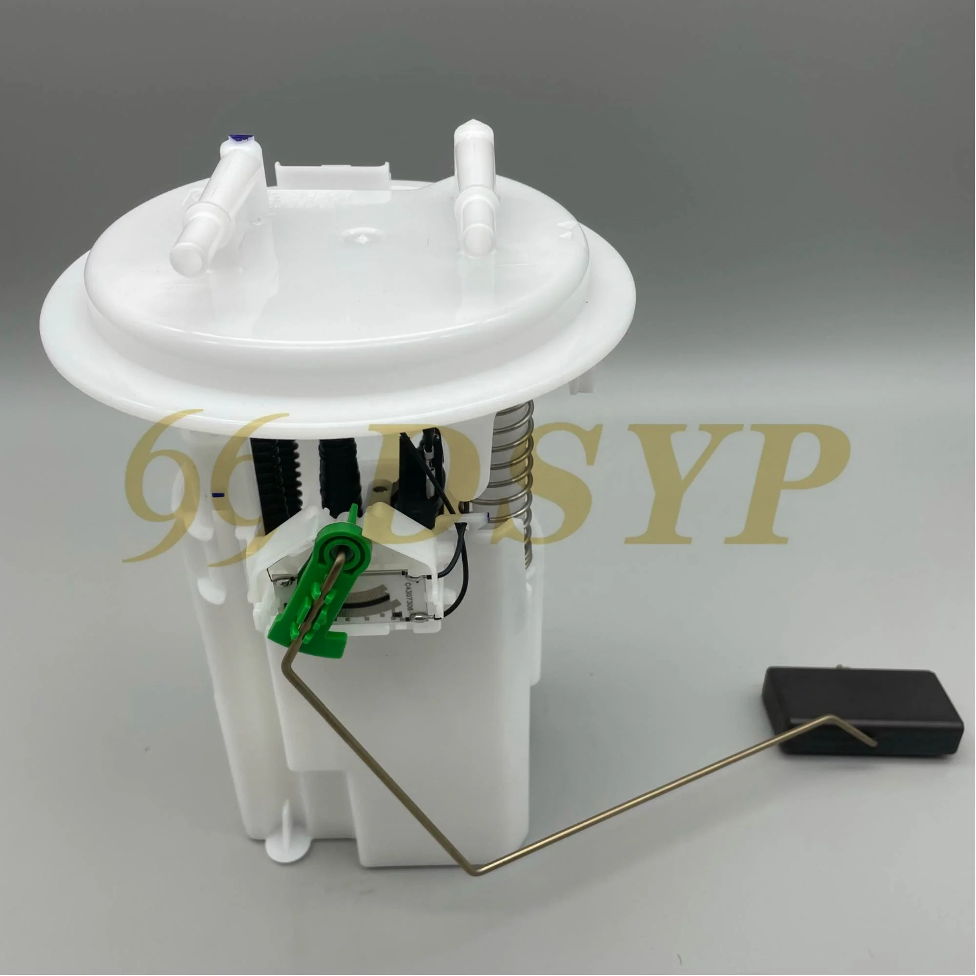 Auto Parts Fuel Pump Assembly 9670251480 for Peugeot Citroen C4 307 308 ...