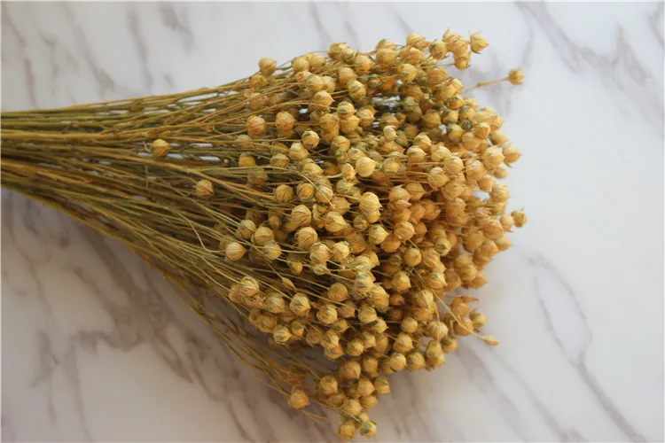 Natural Color Dried Flower Bouquet And Handicrafts 60cm Decorative ...