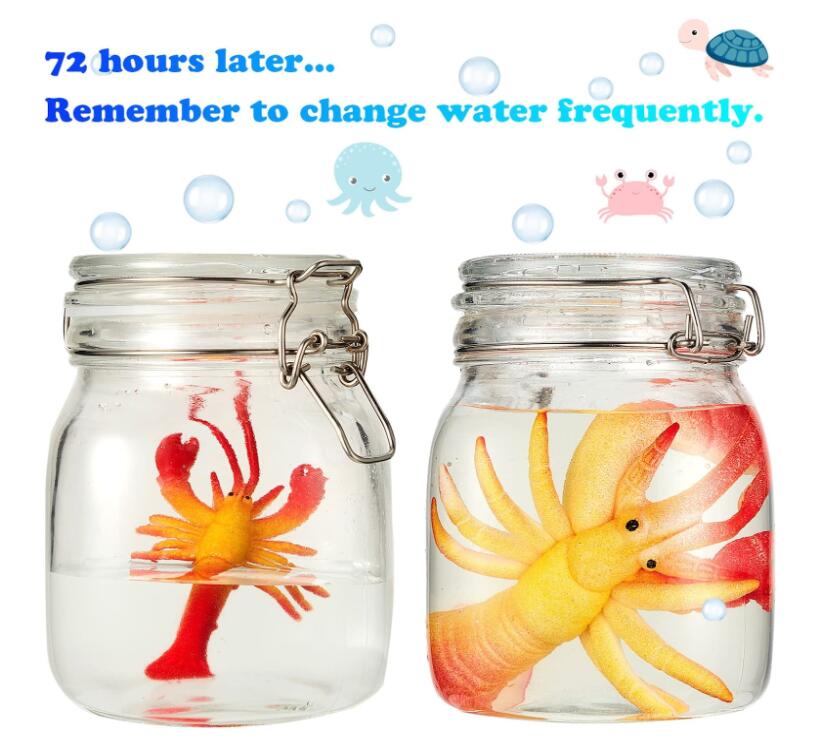 Growing Animal Creature Expandable Sea Creature Set Magic Giant Grow ...