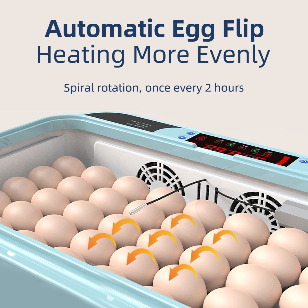 Magicfly Digital Mini Fully Automatic Egg Incubator 24-64 Eggs Poultry Hatcher For Chickens ...