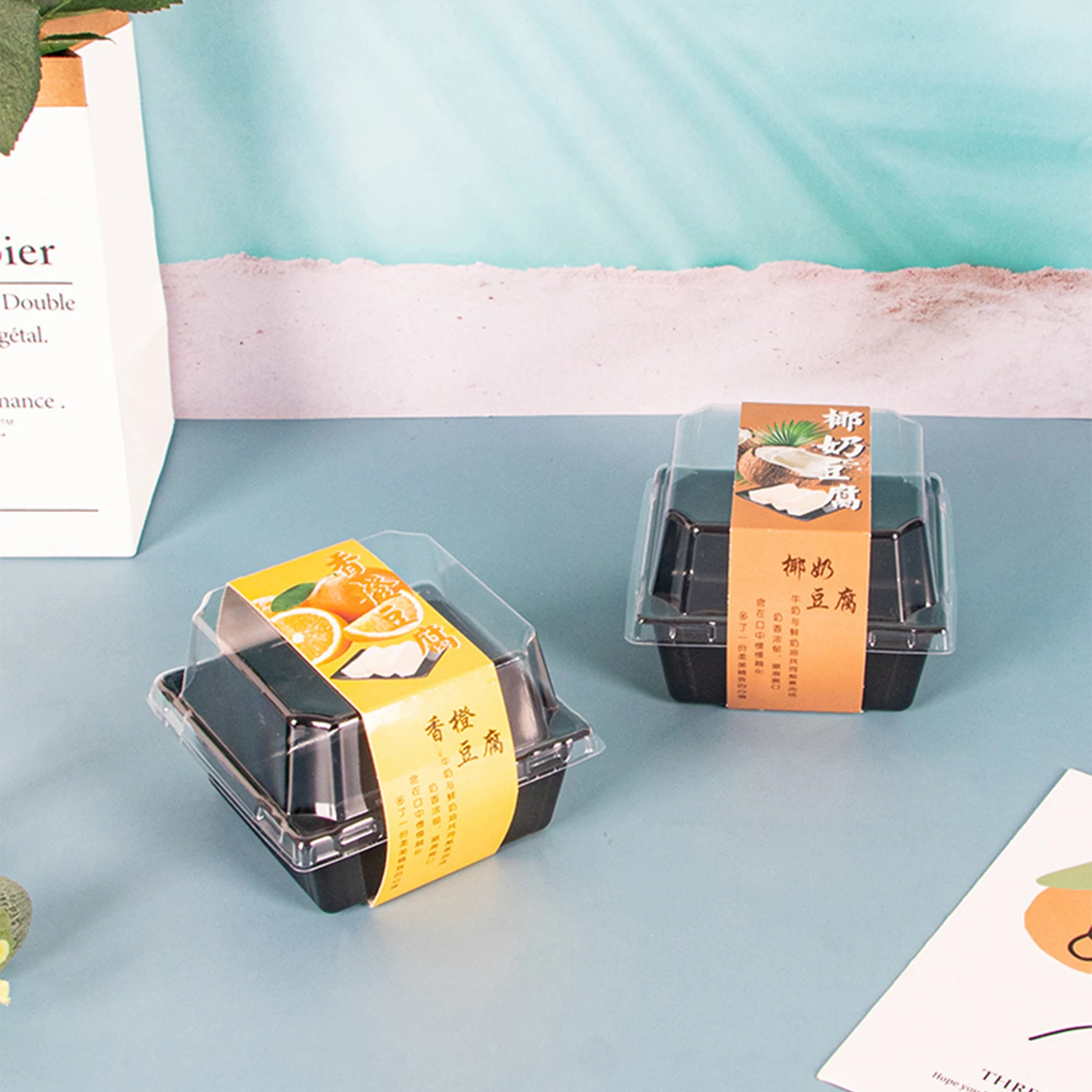 Ecofriendly Plastic Package - Melaleuca Mousse Cake Box