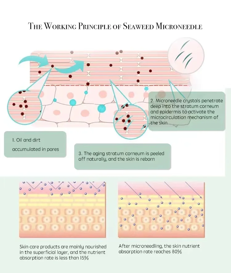 Bio Biomicroneedling Spicule Sponge Microneedle Peel