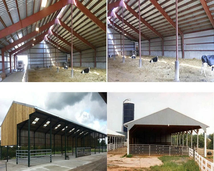Professional Easy Install Prefabricated Cattle Farming Barn Cow Hangar ...