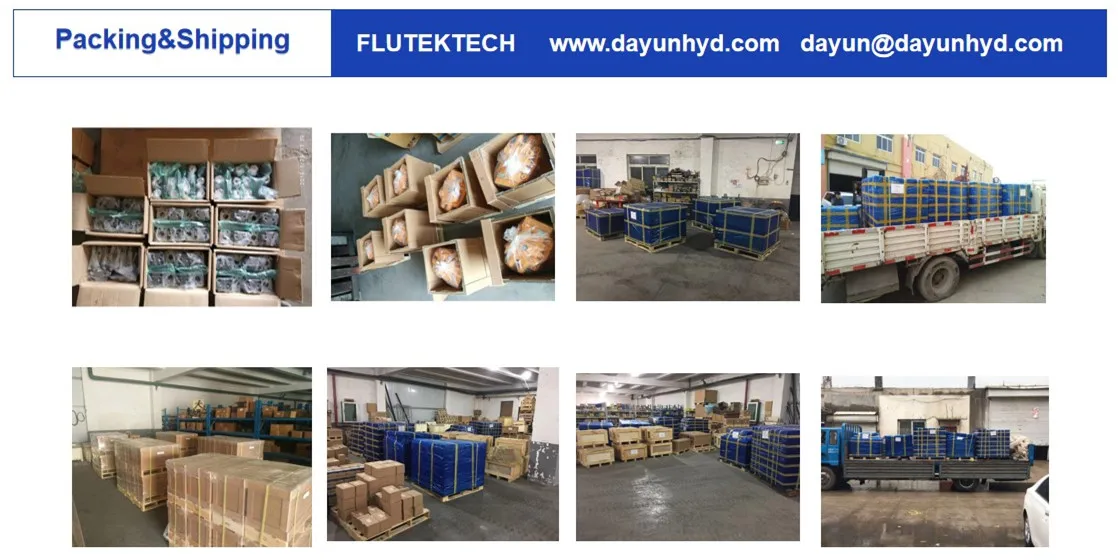 DX60 K1026305A Swing Motor for 6tons Excavator - FLUTEKTECH