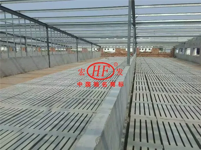 Reinforced Concrete Slats Moulds for Pig Cow Sheep Farming
