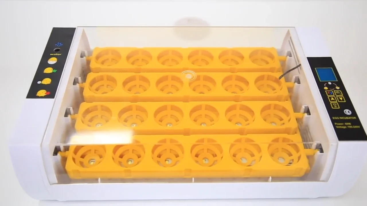 Nouveau Modèle 24 Oeufs Digital Incubateur Machine À Couver Couveuse ...