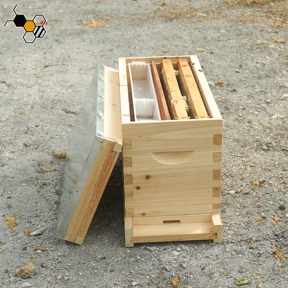 5 Frames Beehive Nuc Bee Box Wooden Langstroth Nuc Box Cardboard Nuc Box Bee| Alibaba.com