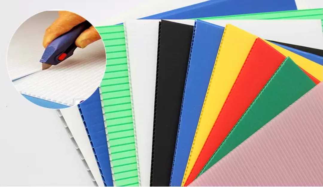 Chloroplast Plastic Board - Educational Model & Signage