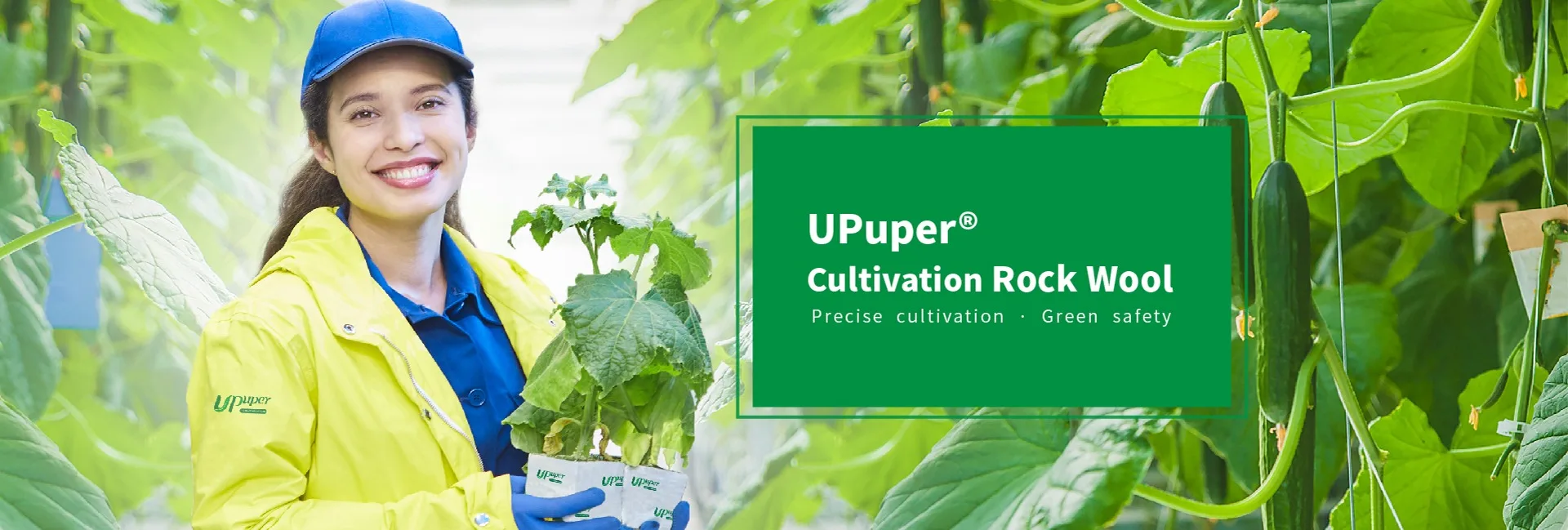 Shanghai Abm Rock Wool Dafeng Co., Ltd. - Rock Wool, Rock Wool/Rock ...