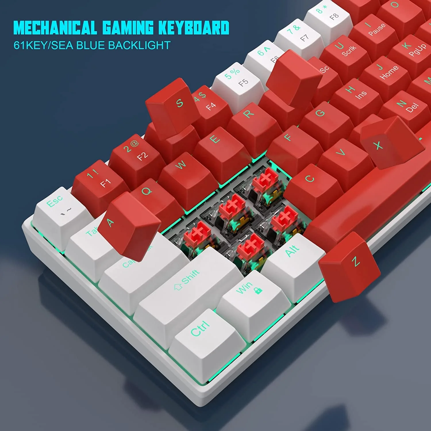 60% Mechanical Keyboard Magegee Gaming Keyboard With Red Switches And ...