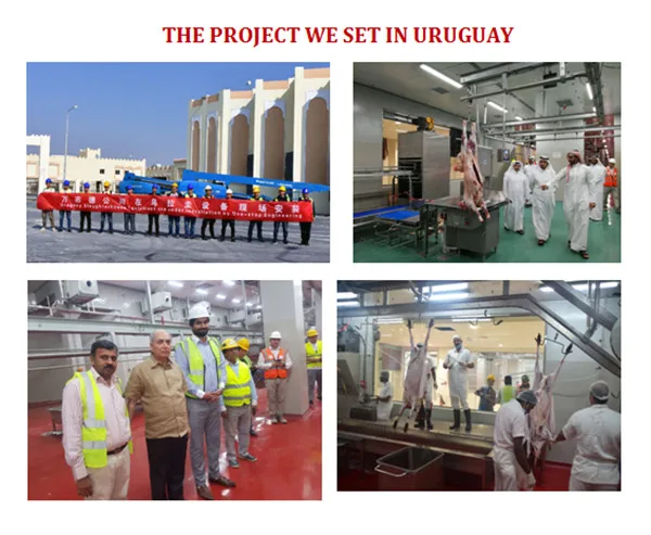 Halal Chicken Slaughter Processing Line for Muslim Slaughterhouse